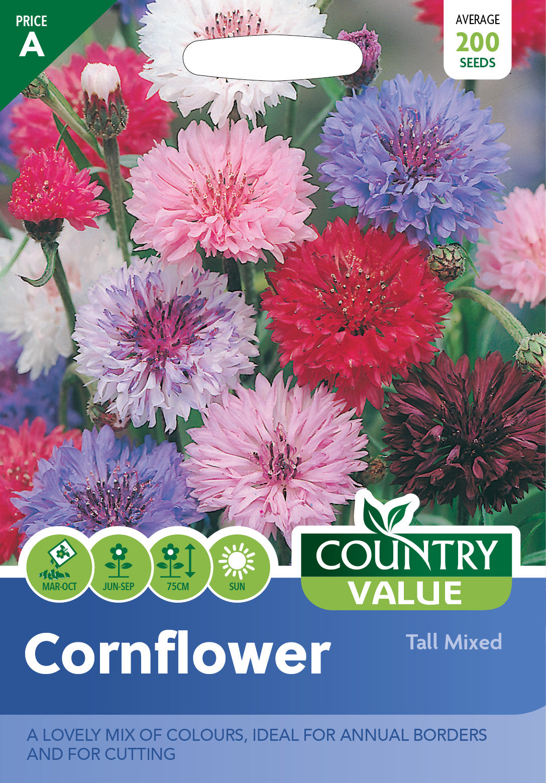 Cornflower Tall Mixed Seeds – Busy Bee Garden Centre