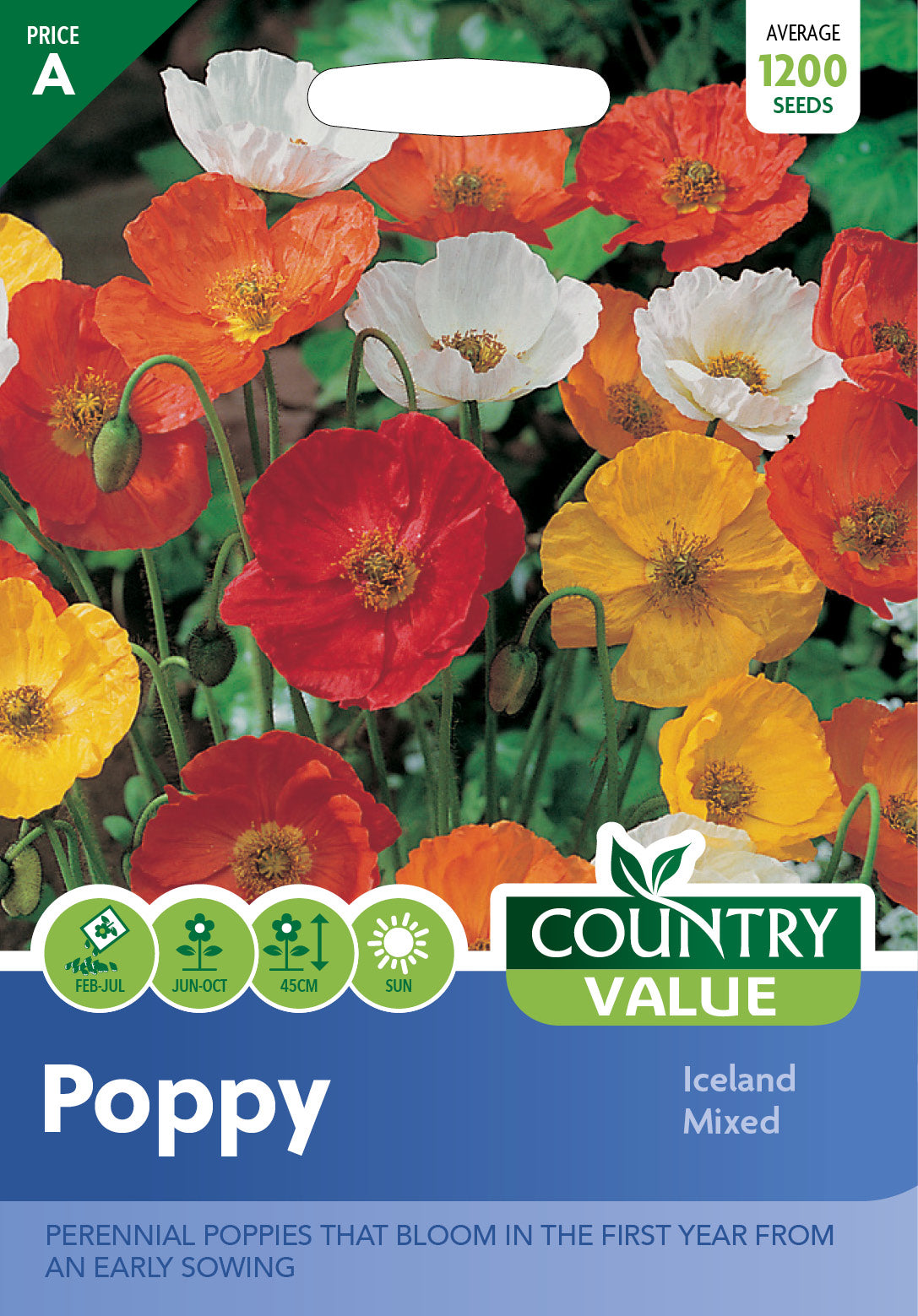 Poppy Iceland Mixed Seeds – Busy Bee Garden Centre
