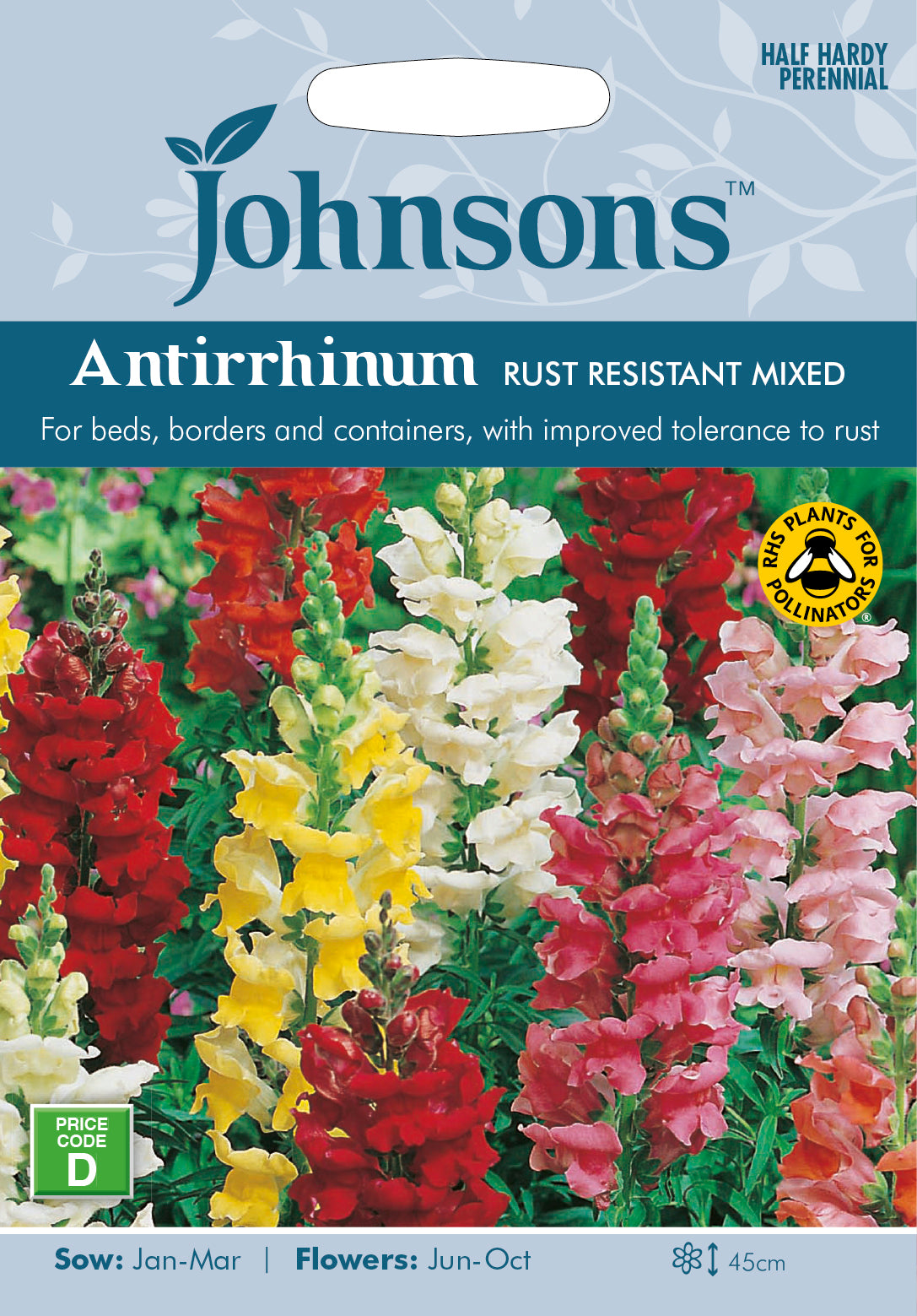 Antirrhinum Rust Resistant Mixed Seeds – Busy Bee Garden Centre