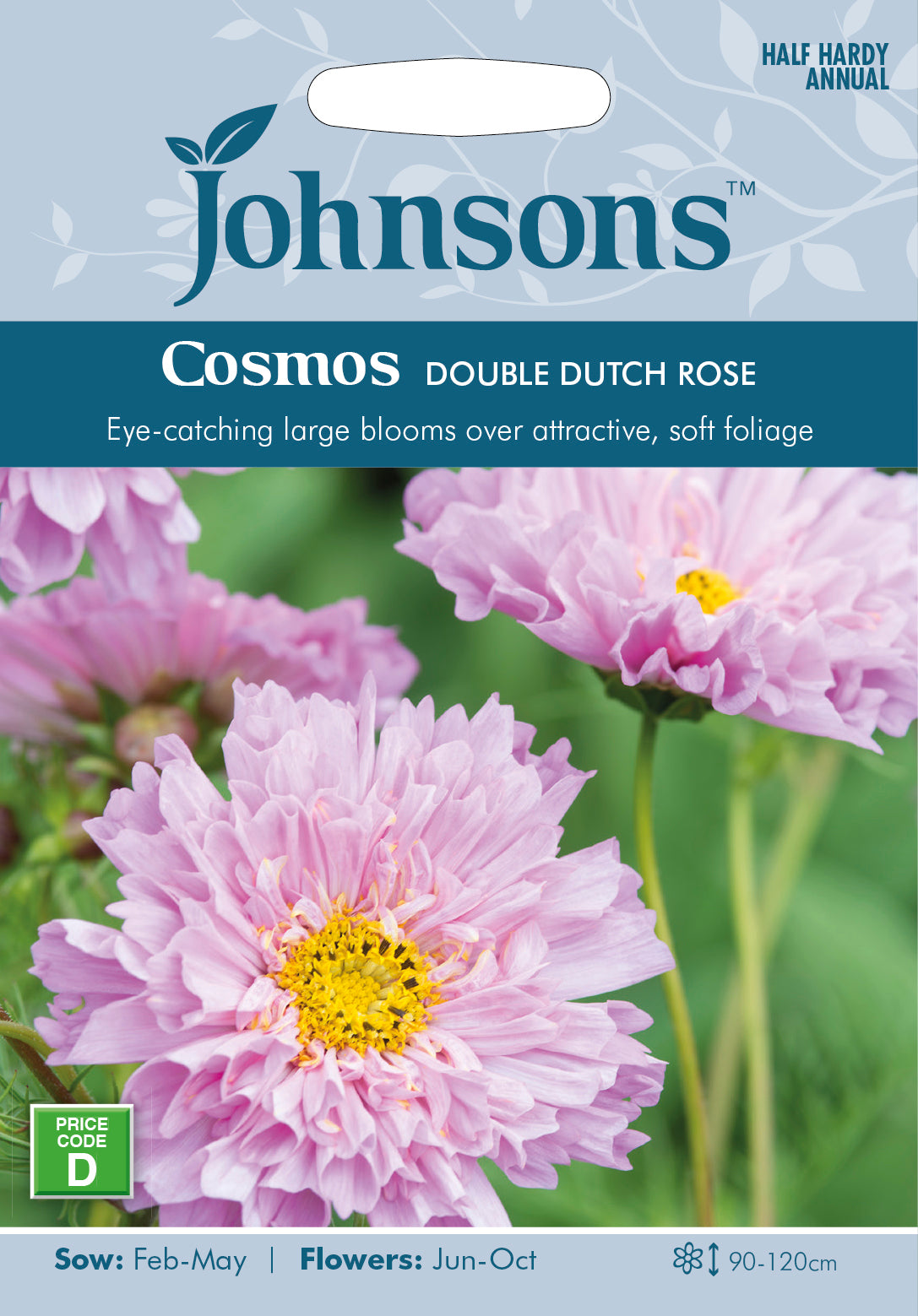 Cosmos Double Dutch White Seeds – Busy Bee Garden Centre