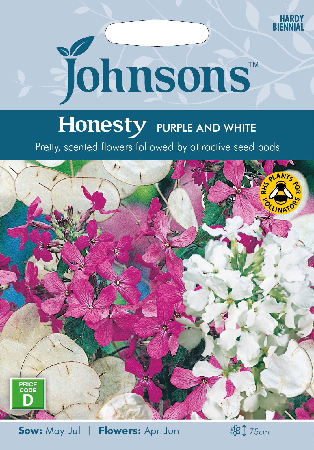 Honesty Purple And White Mixed Seeds – Busy Bee Garden Centre