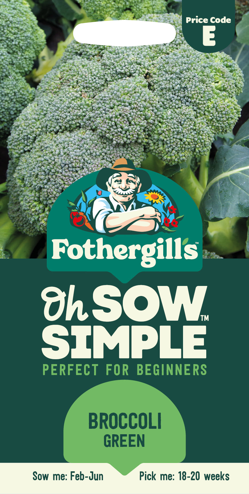 Broccoli Green – Busy Bee Garden Centre
