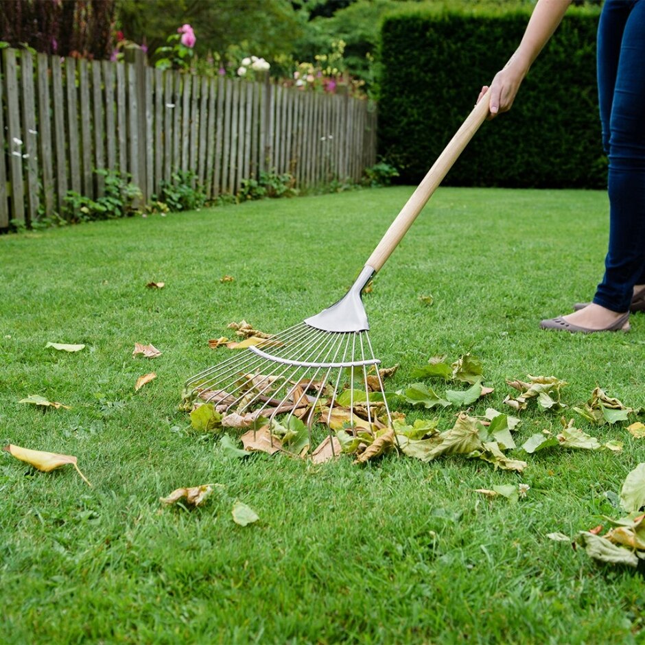 Kent & Stowe Lawn/Leaf Rake Stainless Steel – Busy Bee Garden Centre